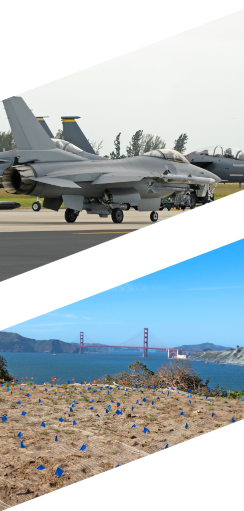 Who We Are – Adanta